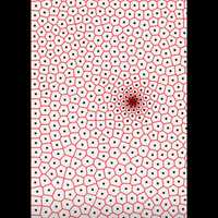 Showcase / The Coding Train