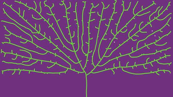 Challenges / The Coding Train