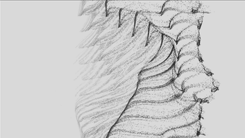 Showcase / The Coding Train