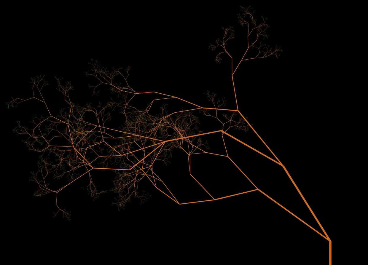 Showcase / The Coding Train