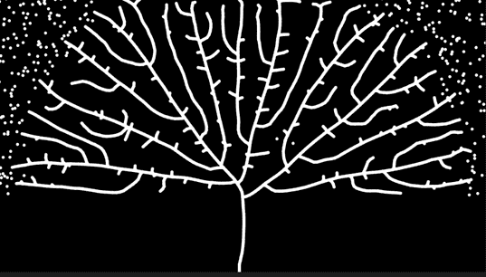 Space Colonization / The Coding Train