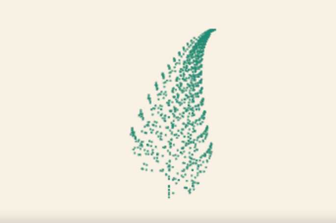 Algorithmic Botany / The Coding Train